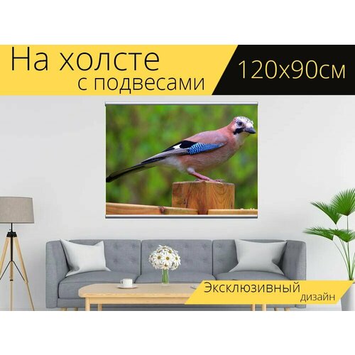 Картина на холсте "Сойка, птица, природа" с подвесами 120х90 см. для интерьера