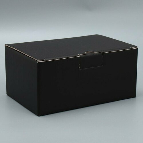 Дарите Счастье Коробка‒пенал, упаковка подарочная, «Черный», 22 х 15 х 10 см