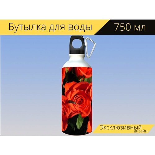 Бутылка фляга для воды "Растения, розы, красные розы" 750 мл. с карабином и принтом