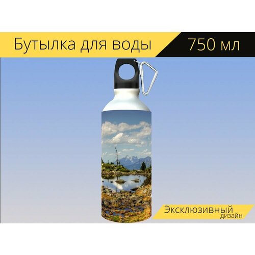 Бутылка фляга для воды "Gasselsee, шладминг, пейзаж" 750 мл. с карабином и принтом