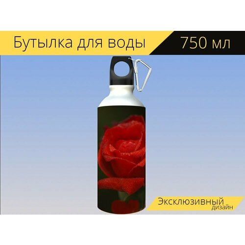 Бутылка фляга для воды "Роза в росе, красная, алая" 750 мл. с карабином и принтом