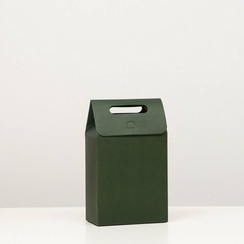 Коробка-пакет с ручкой, зеленая, 27 х 16 х 9 см(5 шт.)