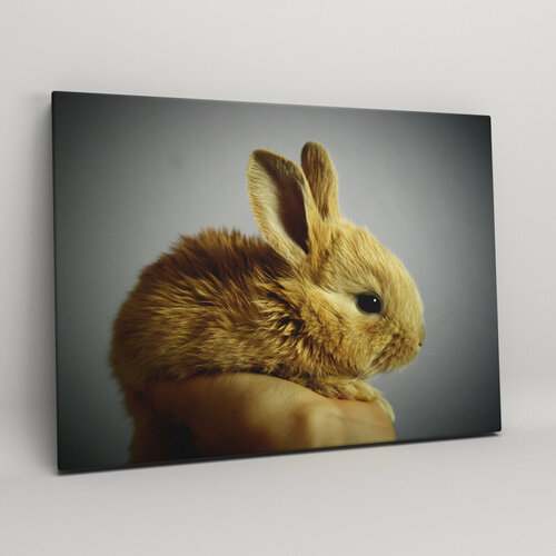 Картина на холсте (интерьерный постер) "Кролик" животные с деревянным подрамником, размер 60х45 см