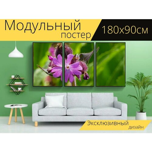 Модульный постер "Природа, луг, цветок" 180 x 90 см. для интерьера