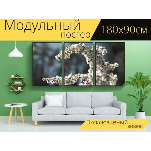 Модульный постер "Полевые цветы, семена, сухой" 180 x 90 см. для интерьера