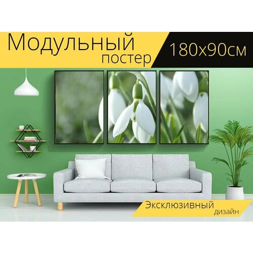 Модульный постер "Подснежник, цветок, белый" 180 x 90 см. для интерьера