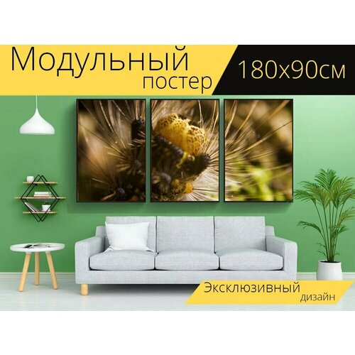 Модульный постер "Гусеница цыганка, макрофотографии, насекомое" 180 x 90 см. для интерьера
