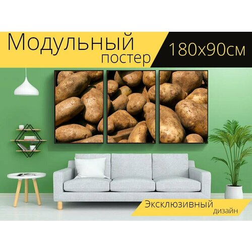 Модульный постер "Базар, картошка, сладкий картофель" 180 x 90 см. для интерьера
