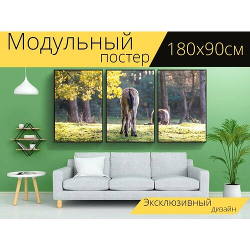 Модульный постер "Дюльмен дикие лошади, дикие лошади, лошади" 180 x 90 см. для интерьера