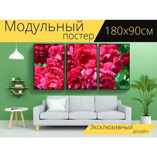 Модульный постер "Розы, флора, красный" 180 x 90 см. для интерьера