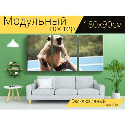 Модульный постер "Langoor, обезьяна, дикая природа" 180 x 90 см. для интерьера