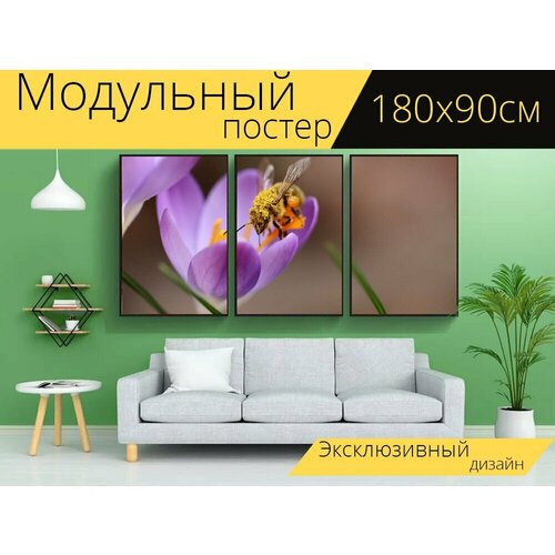 Модульный постер "Крокус, пчела, насекомое" 180 x 90 см. для интерьера