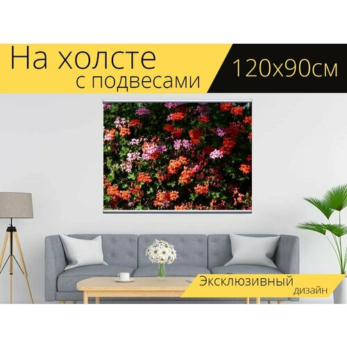 Картина на холсте "Герань, балконные растения, цветок" с подвесами 120х90 см. для интерьера