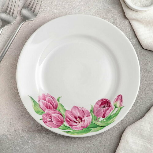 Тарелка фарфоровая "Розовые тюльпаны", d=20 см, белая