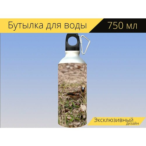 Бутылка фляга для воды "Дубонос, птицы, природа" 750 мл. с карабином и принтом