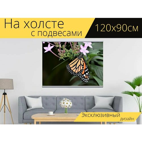 Картина на холсте "Бабочка, тропические бабочки, экзотика" с подвесами 120х90 см. для интерьера