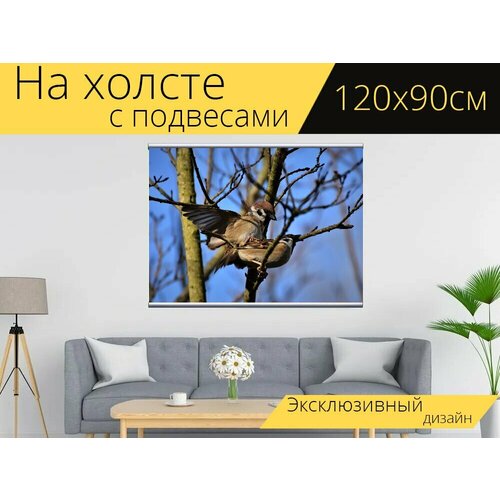 Картина на холсте "Воробей, сперлинг, птица" с подвесами 120х90 см. для интерьера