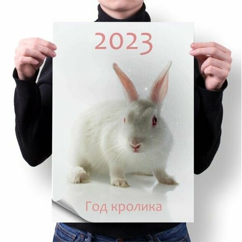 Плакат год Кролика №10, А3
