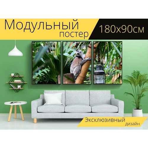 Модульный постер "Лемур, обезьяна, зоопарк" 180 x 90 см. для интерьера