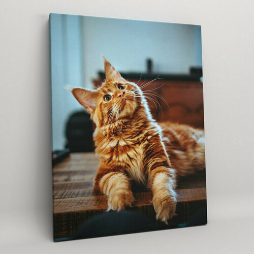 Картина на холсте (интерьерный постер) "Смешной рыжий кот", с деревянным подрамником, размер 30x40 см