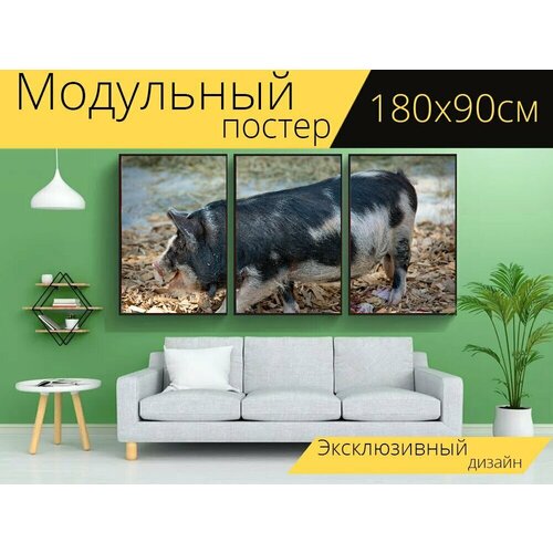 Модульный постер "Свинья, животное, пятнистый" 180 x 90 см. для интерьера
