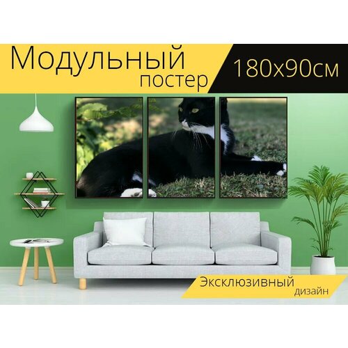 Модульный постер "Кот, чернить, черный кот" 180 x 90 см. для интерьера