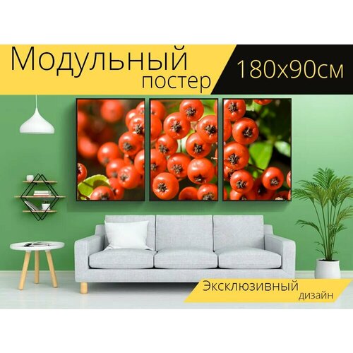Модульный постер "Ягода, ягоды, красный" 180 x 90 см. для интерьера