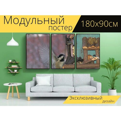 Модульный постер "Синица, корм для птиц, птица" 180 x 90 см. для интерьера
