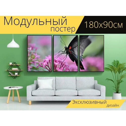 Модульный постер "Бабочка, тропические бабочки, экзотика" 180 x 90 см. для интерьера