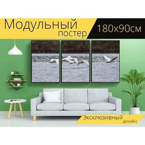Модульный постер "Животное, пруд, вода" 180 x 90 см. для интерьера