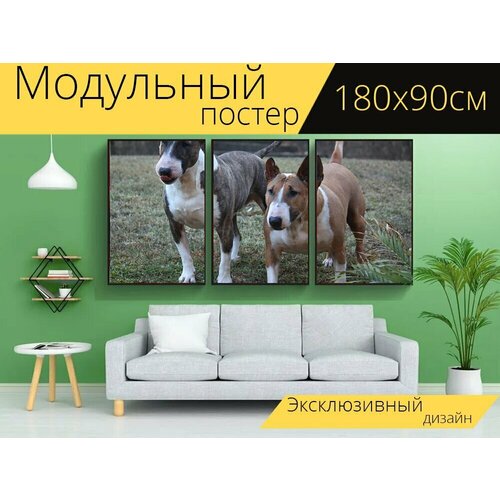 Модульный постер "Собака, бультерьер, миниатюра" 180 x 90 см. для интерьера