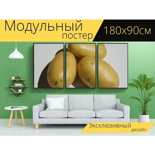 Модульный постер "Картошка, овощи, еда" 180 x 90 см. для интерьера