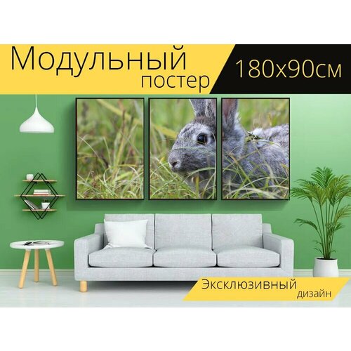 Модульный постер "Кролик, домашний кролик, серый кролик" 180 x 90 см. для интерьера