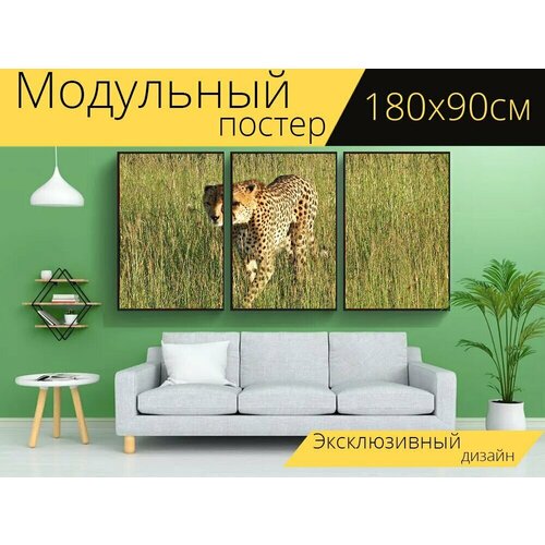 Модульный постер "Гепард, охотник, хищник" 180 x 90 см. для интерьера