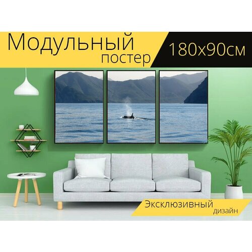 Модульный постер "Косатки, рыбы, океан" 180 x 90 см. для интерьера