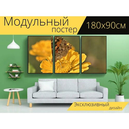 Модульный постер "Бабочка, цветок, ванесса кардуи" 180 x 90 см. для интерьера