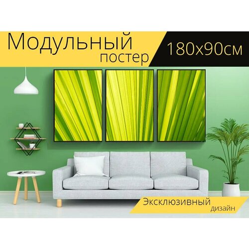 Модульный постер "Пальмы, пальмовые листья, ладони" 180 x 90 см. для интерьера