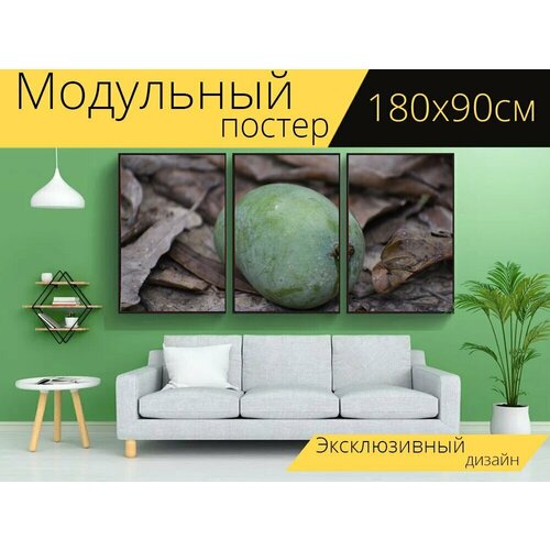 Модульный постер "Зеленый, манго, фрукты" 180 x 90 см. для интерьера