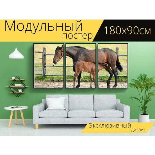 Модульный постер "Ферма, лошадь, лошади" 180 x 90 см. для интерьера