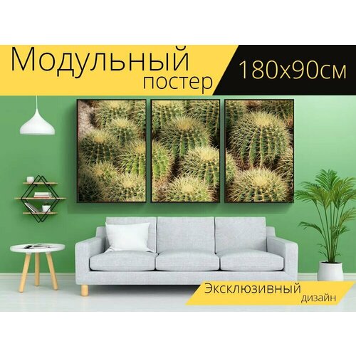 Модульный постер "Кактус, завод, грин" 180 x 90 см. для интерьера