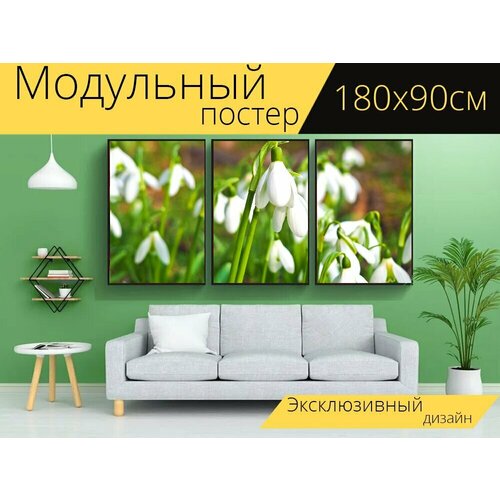 Модульный постер "Подснежник, цветок, весна" 180 x 90 см. для интерьера