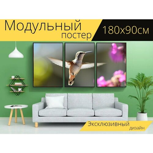 Модульный постер "Ханан колибри, птица, природа" 180 x 90 см. для интерьера