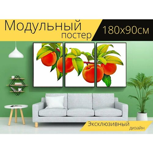 Модульный постер "Акварелью фрукты, фрукты, грейпфрут" 180 x 90 см. для интерьера