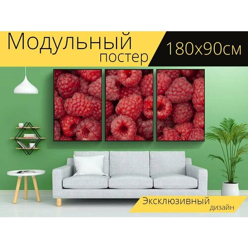 Модульный постер "Малина, фрукты, ягоды" 180 x 90 см. для интерьера