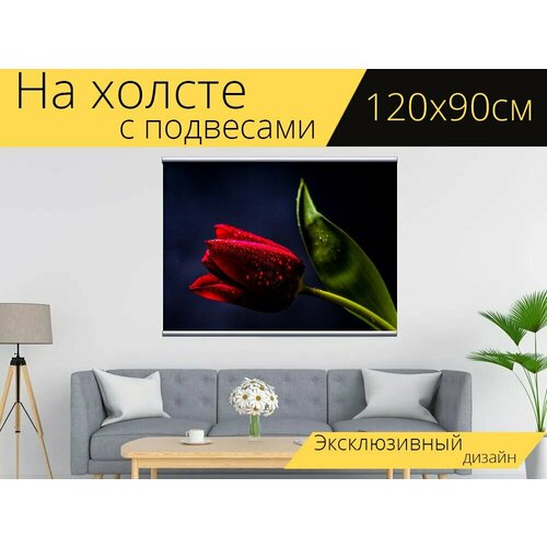 Картина на холсте "Тюльпан, цветы, капли" с подвесами 120х90 см. для интерьера