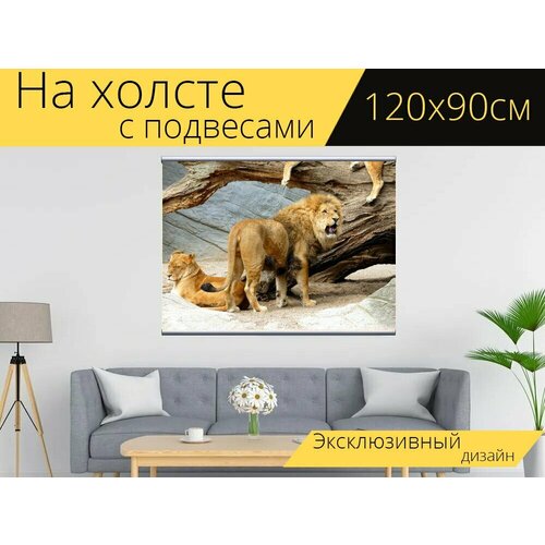 Картина на холсте "Лев, львица, лев самок" с подвесами 120х90 см. для интерьера