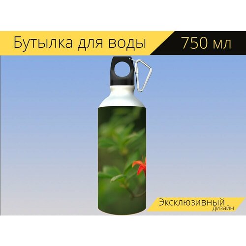 Бутылка фляга для воды "Рододендрон, азалия, ботаника" 750 мл. с карабином и принтом