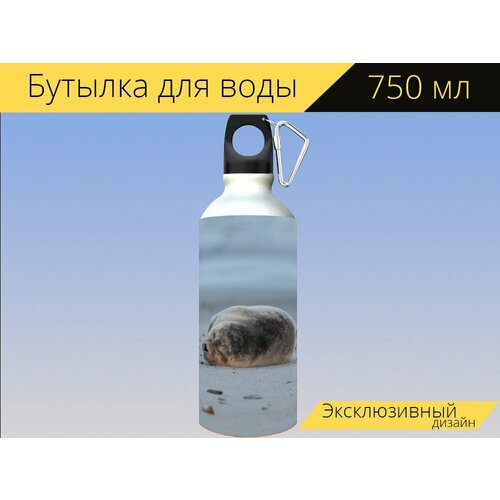 Бутылка фляга для воды "Тюлень, серый тюлень, гельголанд" 750 мл. с карабином и принтом