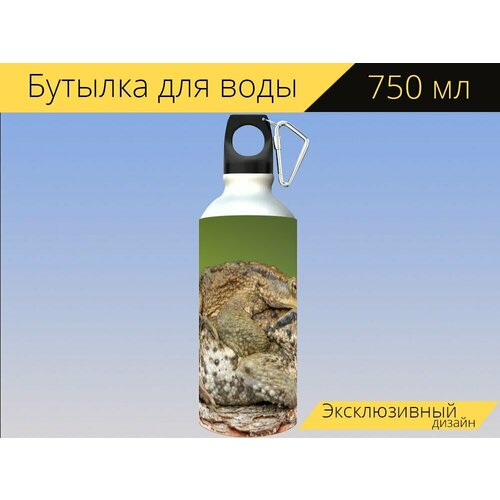 Бутылка фляга для воды "Контрейлерный, жаба, лягушка" 750 мл. с карабином и принтом