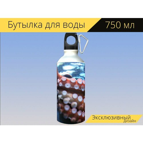 Бутылка фляга для воды "Осьминог, присоска, присоски" 750 мл. с карабином и принтом